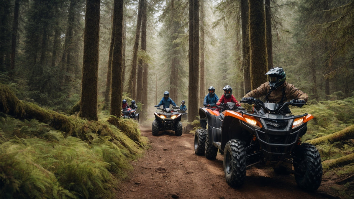 Affordable ATVs & Four Wheelers for sale with free shipping